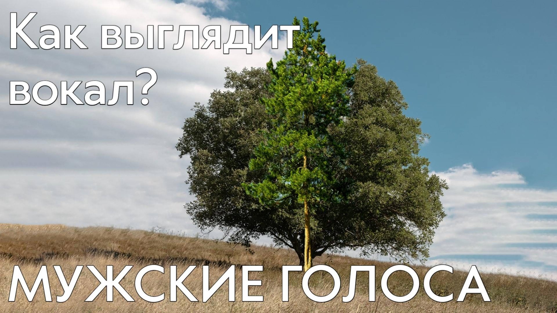 3. Мужские голоса