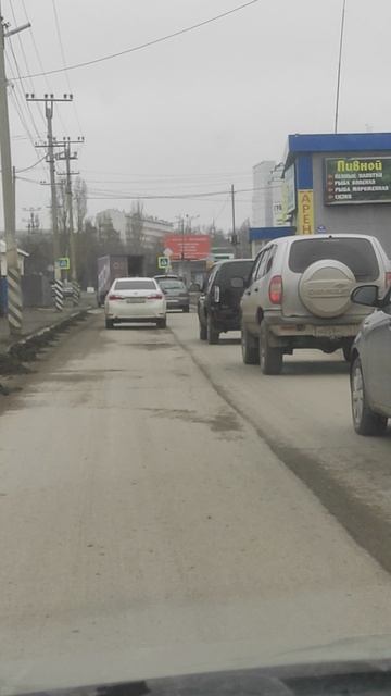 Эйс Вентура за рулём машины OZON