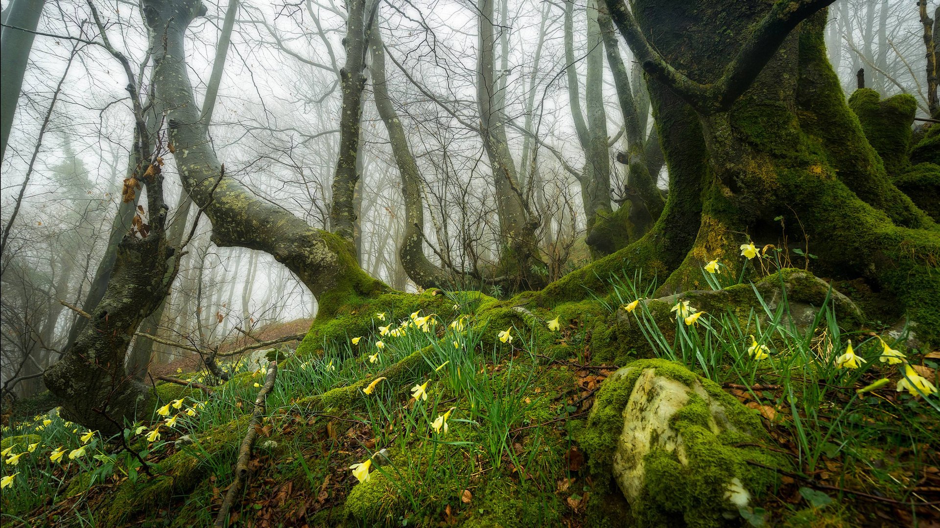 Melancholic Piano 48