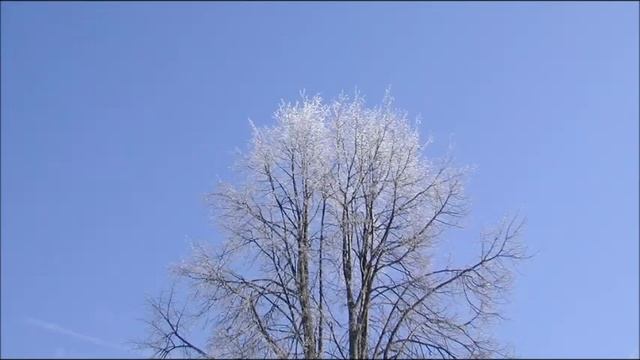 Иеромонах Роман, Ирина Скорик. «Смирение достоинству кадит...»