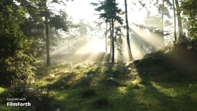 спокойная музыка