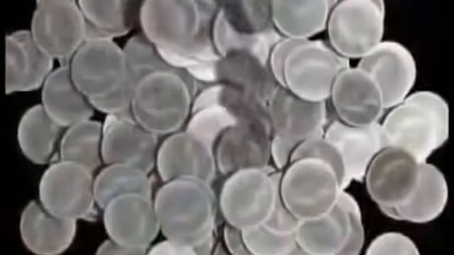 Рабство и 8 вуалей (1)