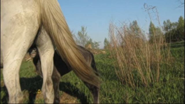 ЖИТЬ В ДЕРЕВНЕ ВЕСЕЛО / подборка ярких моментов №1