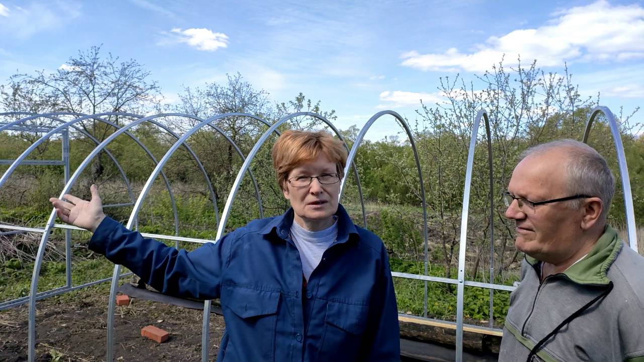 Архив 2023 г. Хотели поставить теплицу за три дня, но не тут-то было... Живем в деревне. Май