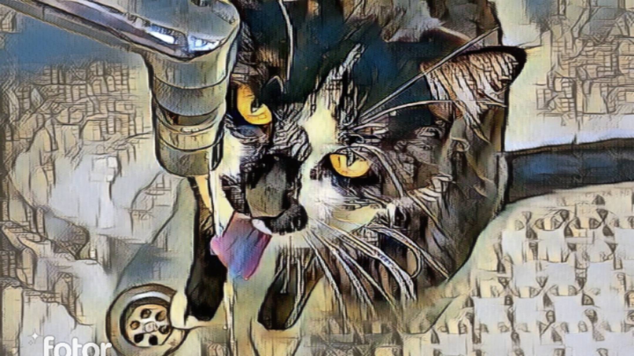 Кот Барсик умывается в ванной.