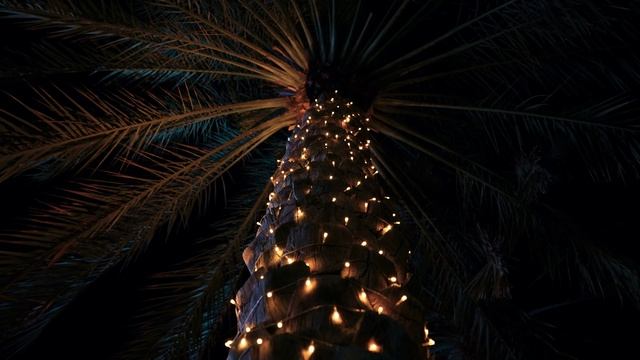 13364646_3840_2160_50fps