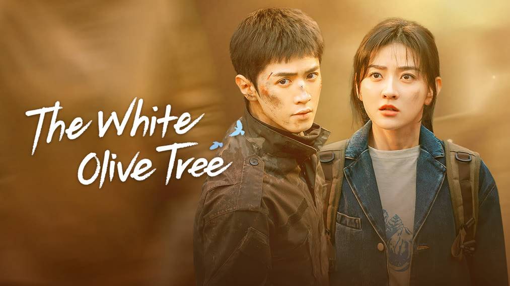Клип к дораме Белое оливковое дерево The White Olive Tree 白色橄榄树 2025
