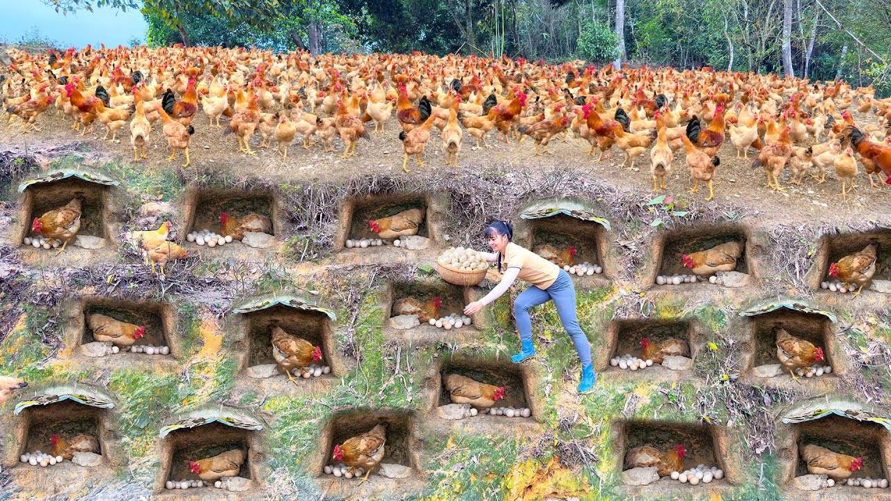 Неугомонная работяга из Вьетнама. Сбор куриных яиц, продажа на сельском рынке.