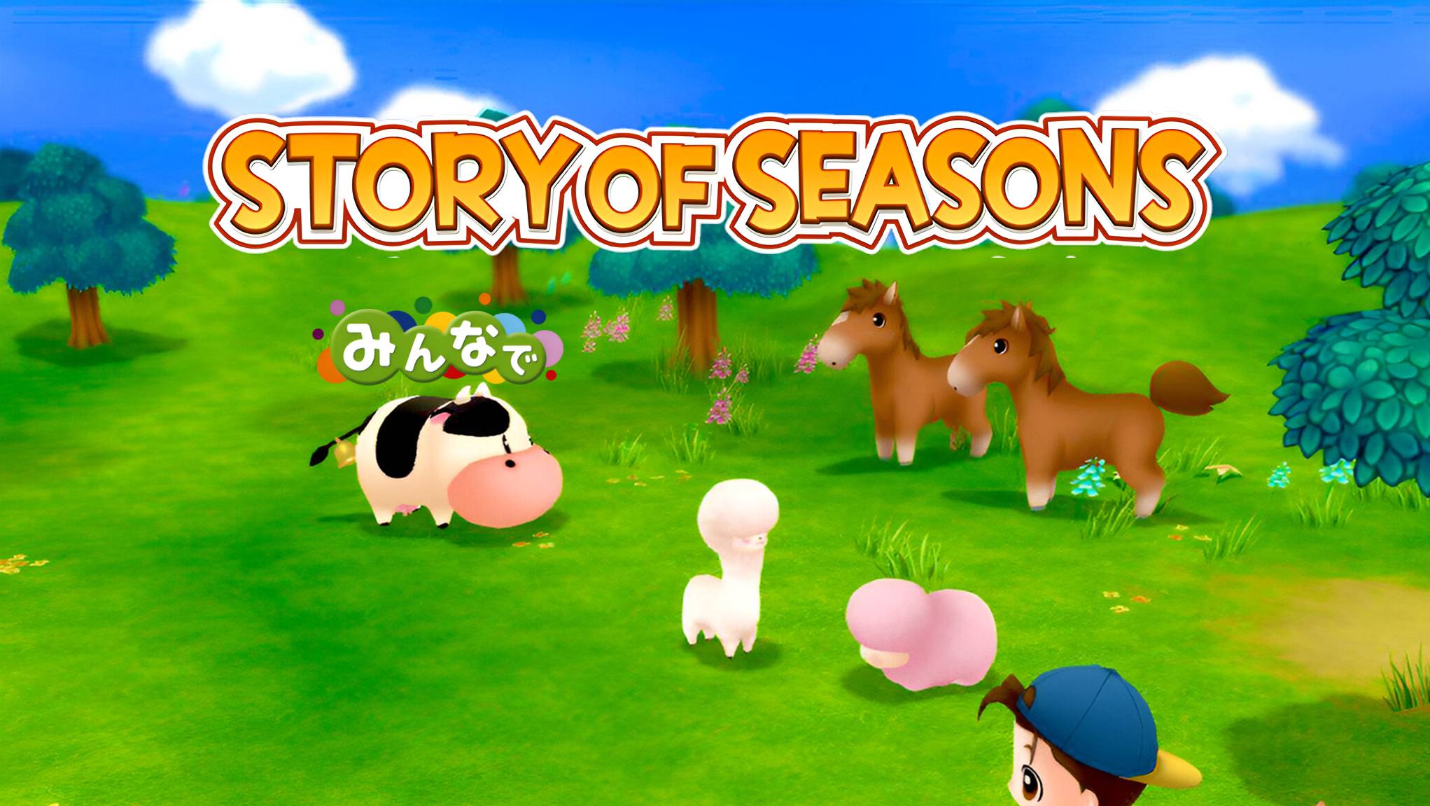 Setting Stick USB versi PC • Story of Seasons: Friends of Mineral Town