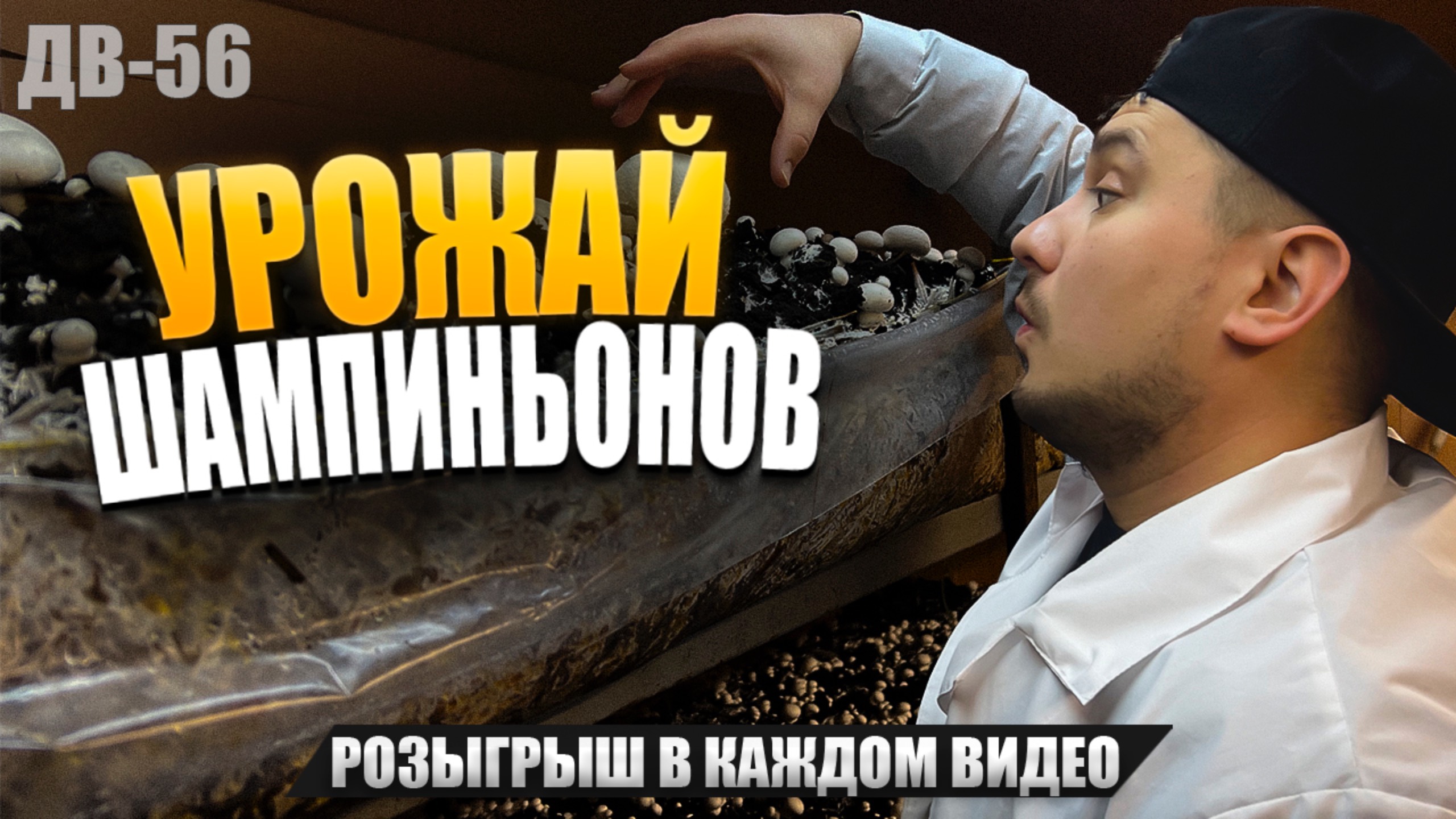 ЭКСПЕРИМЕНТ ПОД УГРОЗОЙ | СБОР ГРИБОВ | ДВ 56