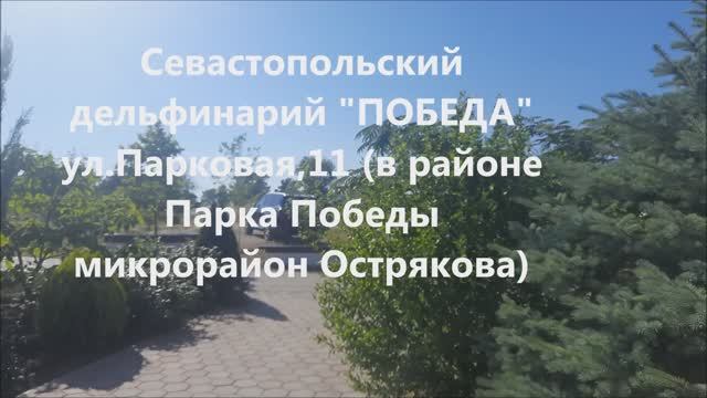 Севастопольский дельфинарий Победа