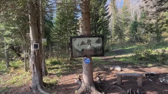 Новые секретные избы