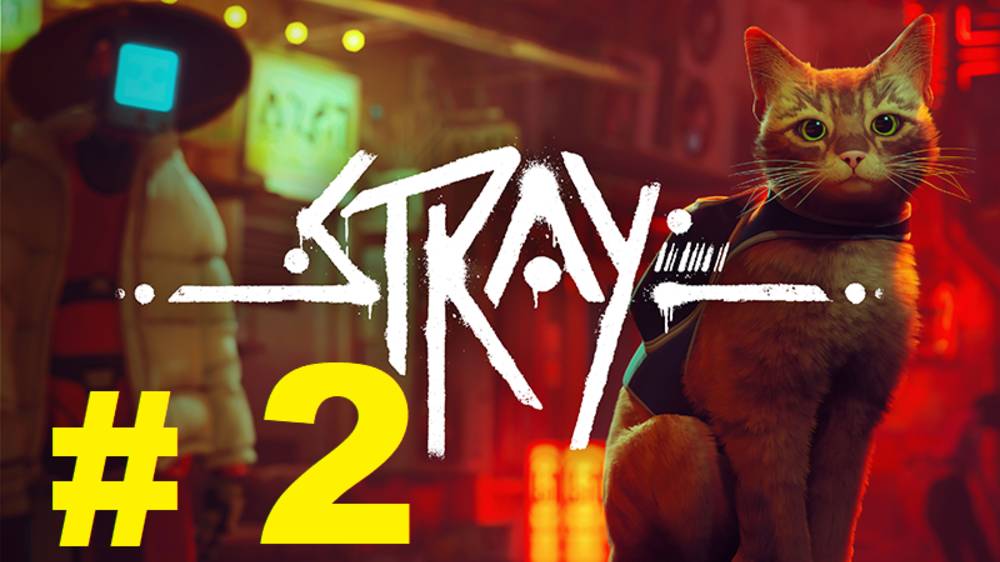 STRAY #2