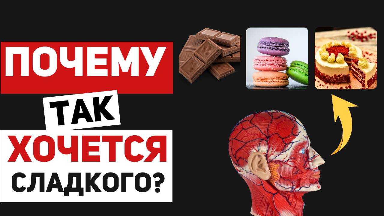Почему меня всё время тянет к сладкому? Что означает тяга к сладкому и способы ее преодоления