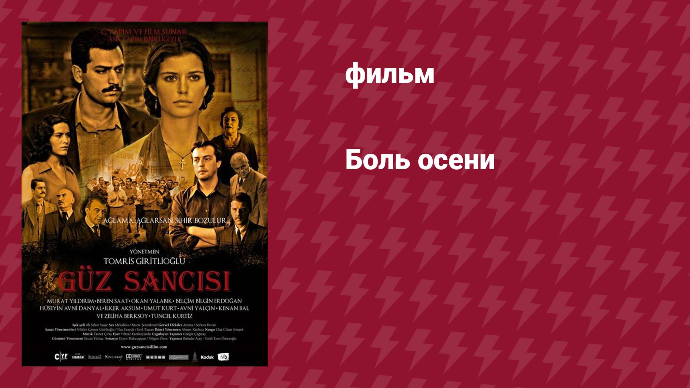 Боль осени (фильм, 2009)