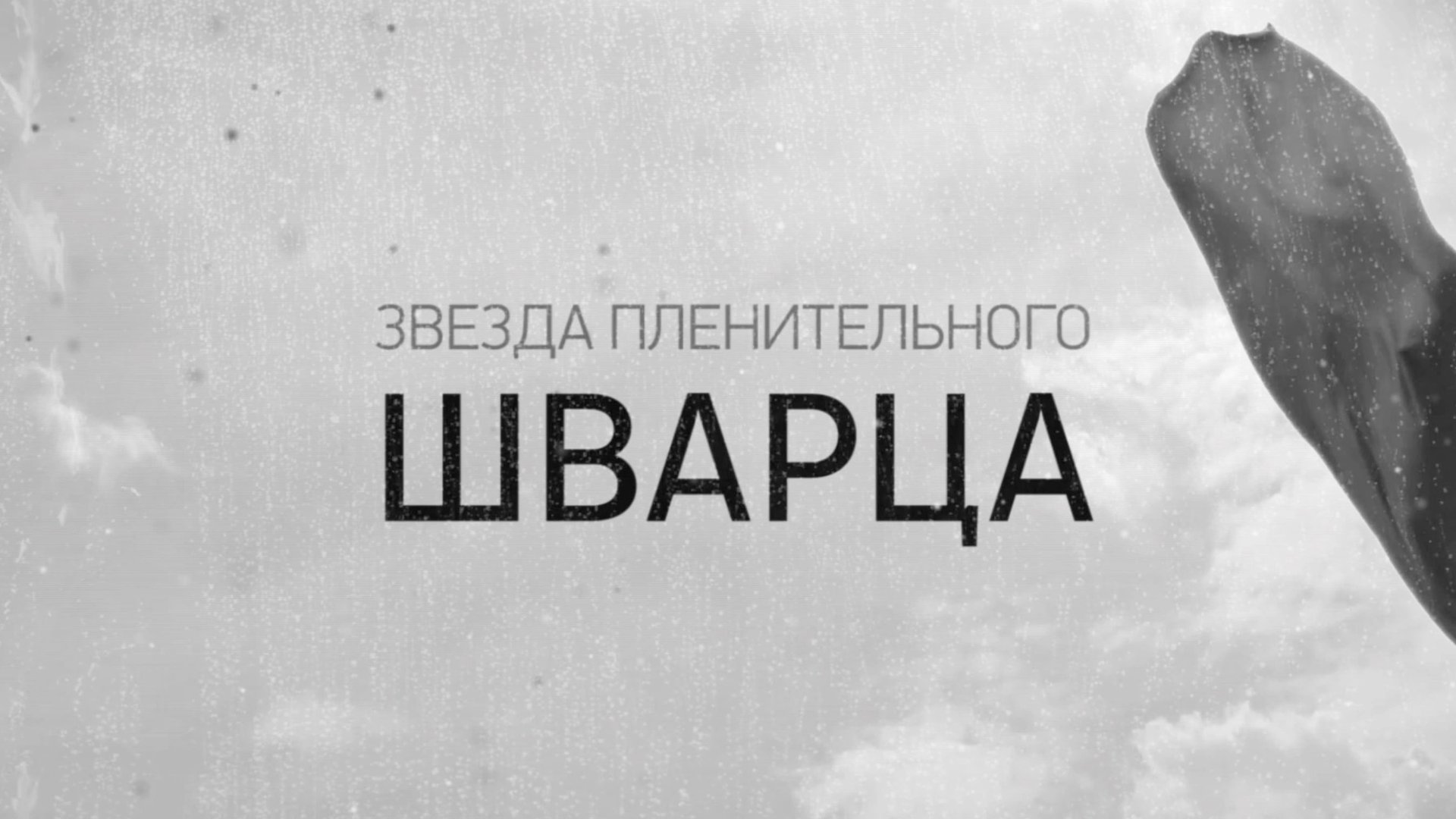 д/ф "Звезда пленительного Шварца"