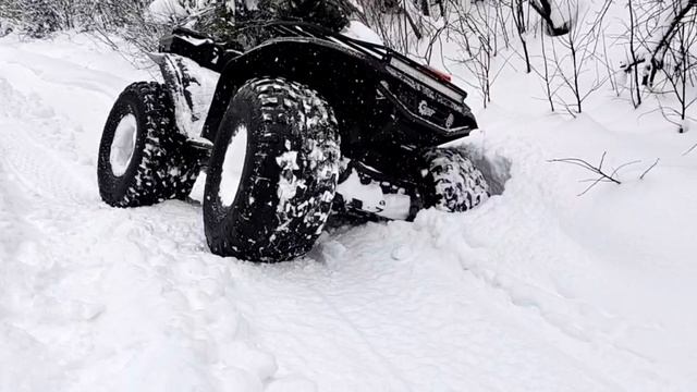 На колесах по зимней тайге