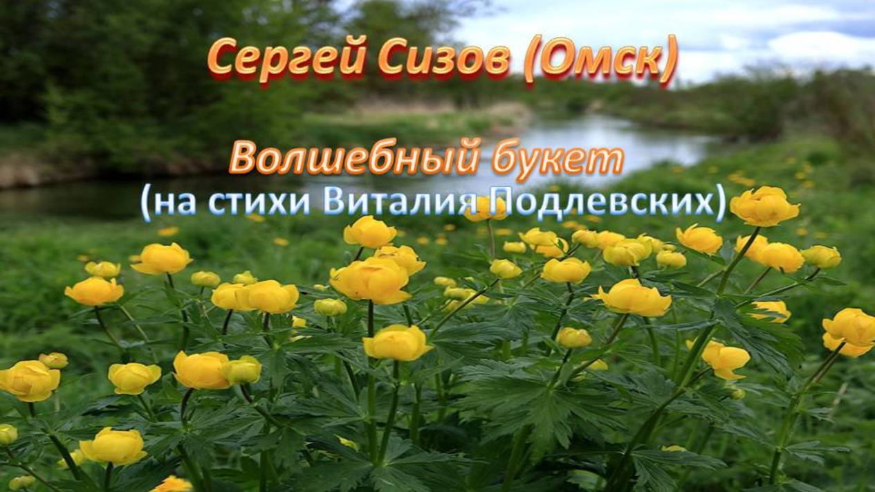 Сергей Сизов (Омск). Волшебный букет (на стихи Виталия Подлевских)