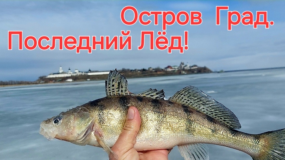 Остров Град.Закрытие сезона твердой воды 2025г.