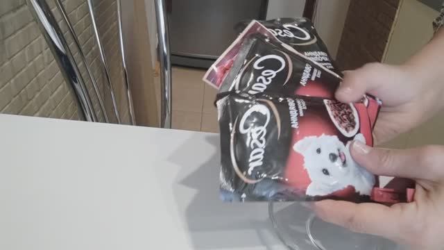 Как ела, моя Собакен...На Радуге,моя Любимка...