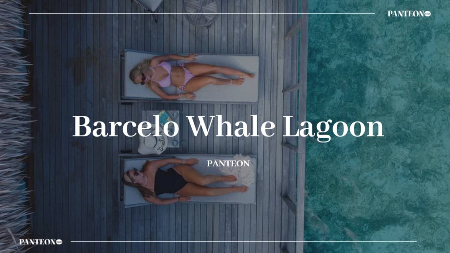 Maldivian Week: Barcelo Whale Lagoon 5*