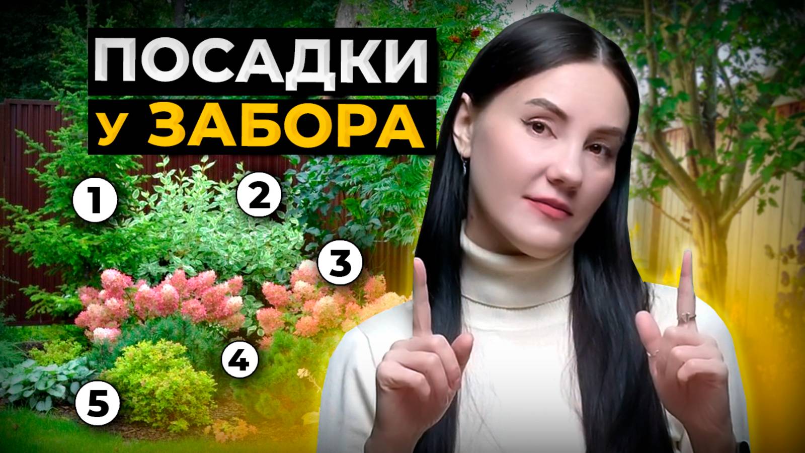 Что Посадить Вдоль Забора на Даче? Деревья, Кустарники и Цветы, которые можно Посадить у Забора
