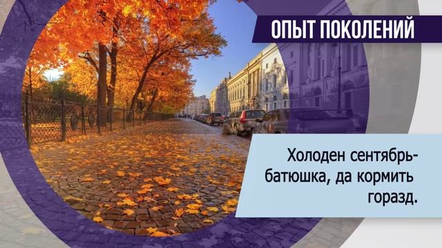 Рубрика "Опыт поколений"