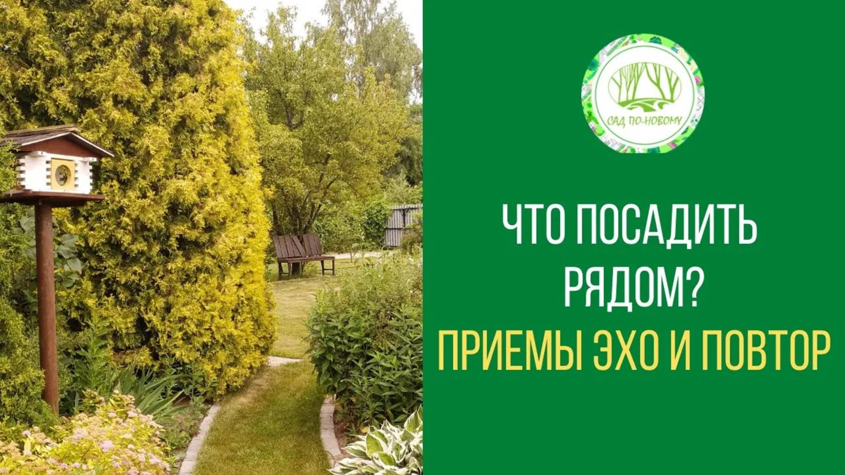 Что посадить рядом?  Приём составления композиций Повтор и Эхо