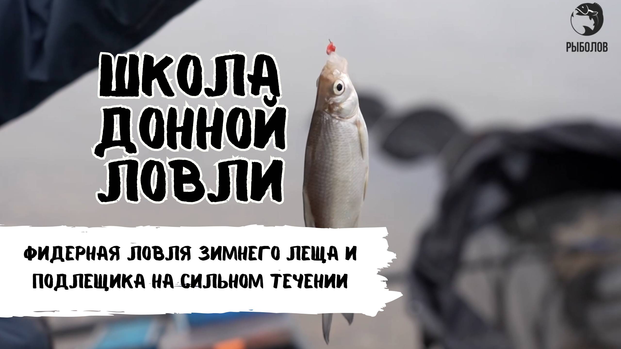 Фидерная ловля зимнего леща и подлещика на сильном течении. Школа донной ловли