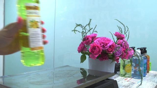 Mamma Terra теперь и в Рыбнице