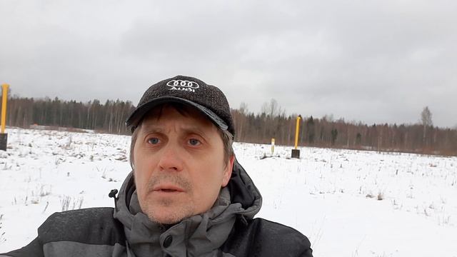 Погибли пчёлы