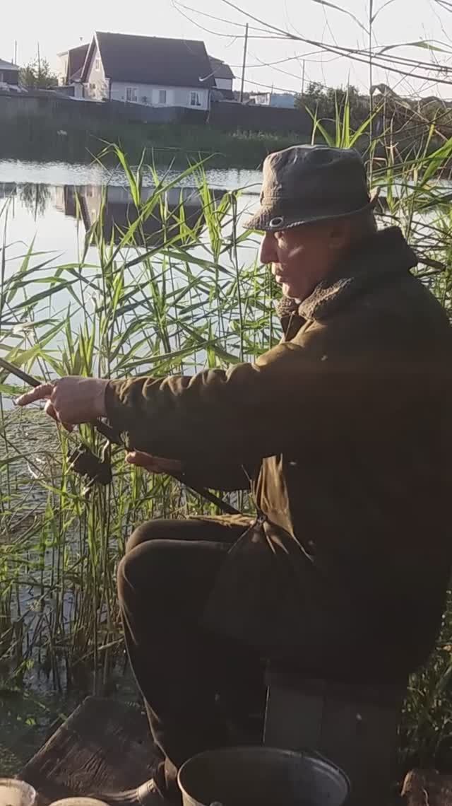 Я его не ловил, он сам попался  #рыбалка #михалычдачник