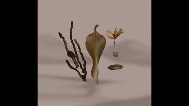 Soft Suns - Trails/Shimmering