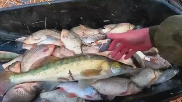 ПРОСТО СУПЕРСКАЯ ВЕСЕННЯЯ РЫБАЛКА!!! РЫБАЧИМ НА ПАУК!