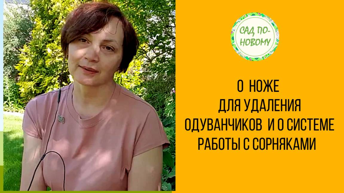 Про нож для удаления одуванчиков и о системе работы с сорняками