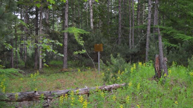 Архелогический памятник Стоянка Ноглики-1