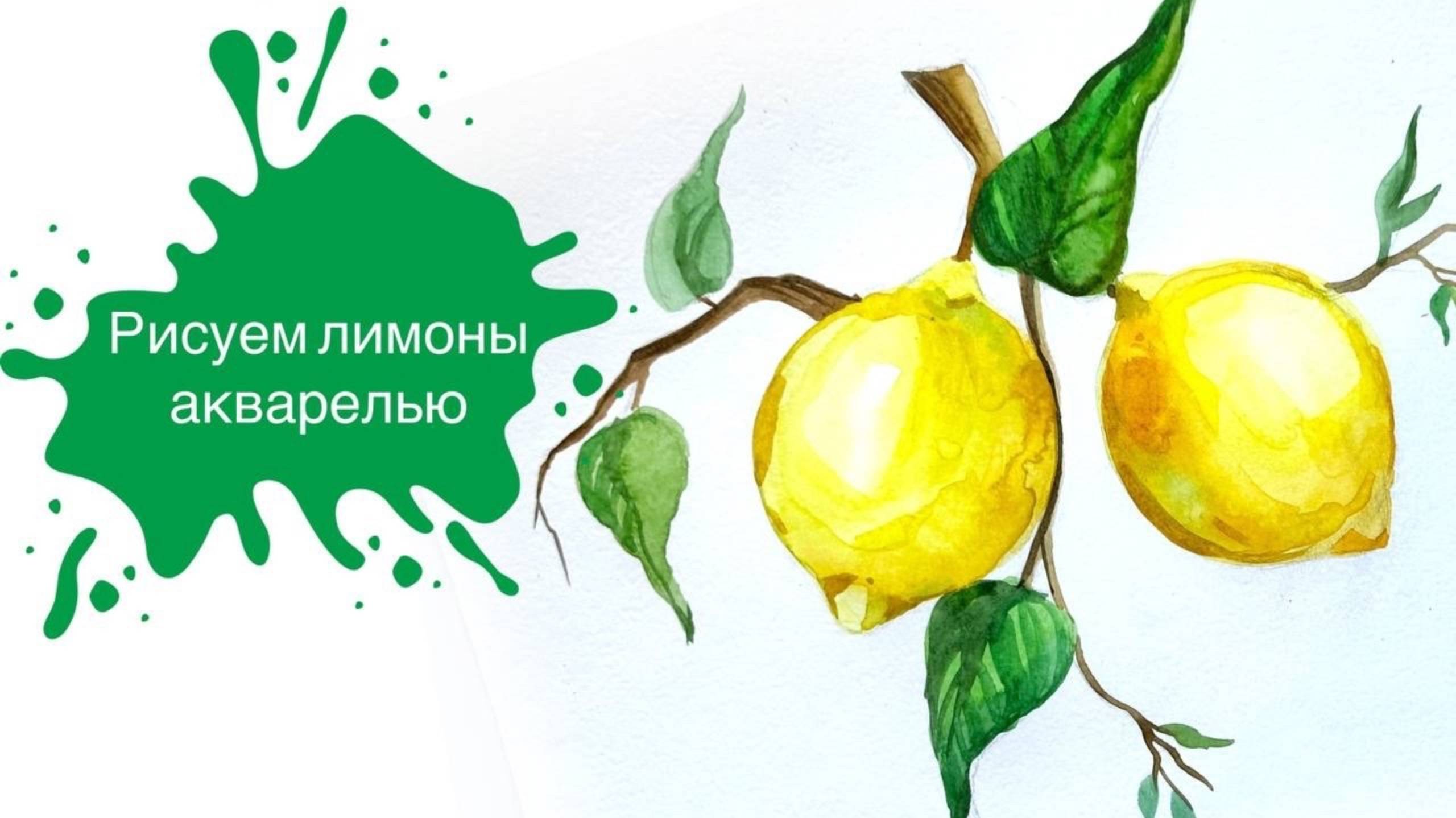 Как нарисовать лимоны акварелью? Простой урок для начинающих! 🍋
