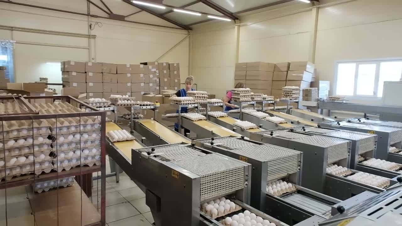 «Чем мы больше зарабатываем, тем больше поступление в бюджет!»