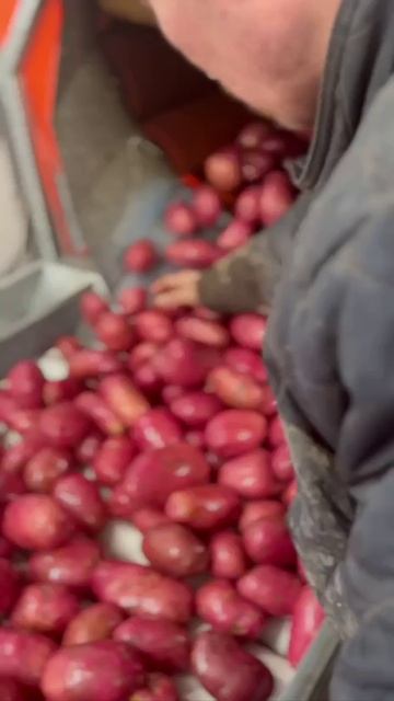 Сельхозпроизводители Сахалина обменялись опытом