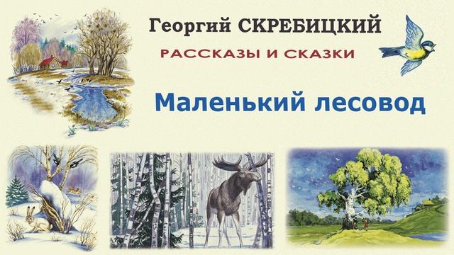 «Маленький лесовод» Георгий Скребицкий. Слушать
