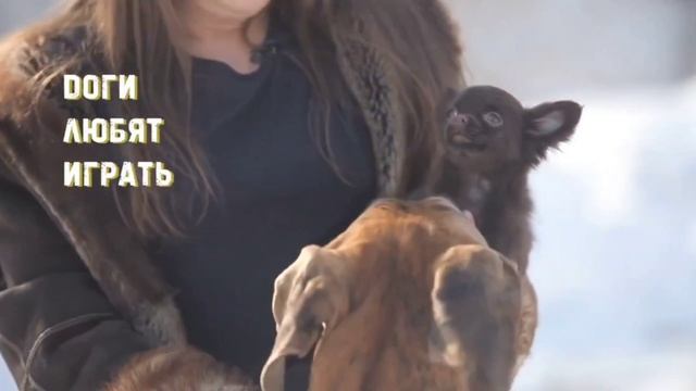 Программа "Бойцовый клуб. По ту сторону мифа".