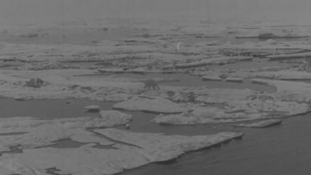 «Тихоокеанский флот. Курсом к победе» эпизод 4 «Экспедиция особого назначения №3. Часть 1»