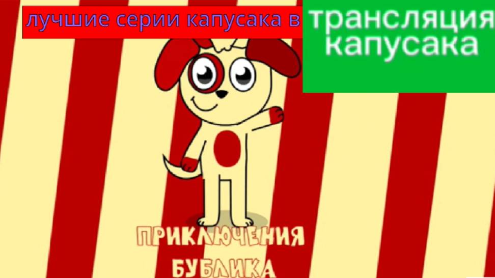 трансляция капусака