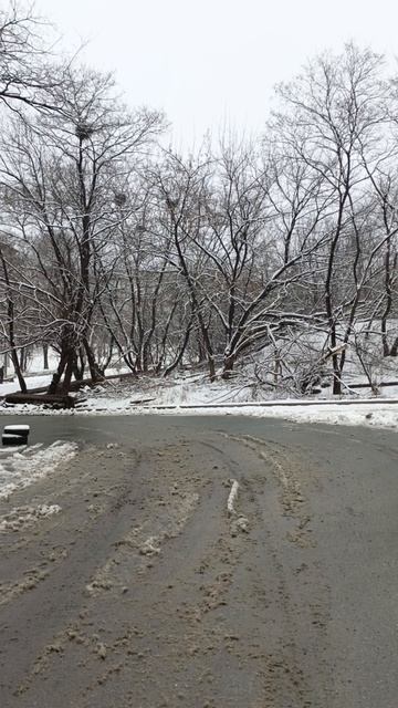 Весна по Находкински