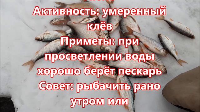 Календарь рыболова на 
2025 год от 
СИБИРЦА