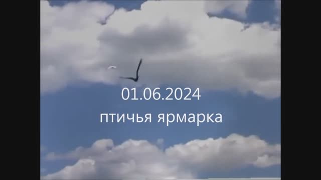 птичья ярмарка Нижнегорский