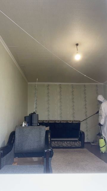 Дезинсекция - Клопы - Таймлапс - 2 - 27.03.25