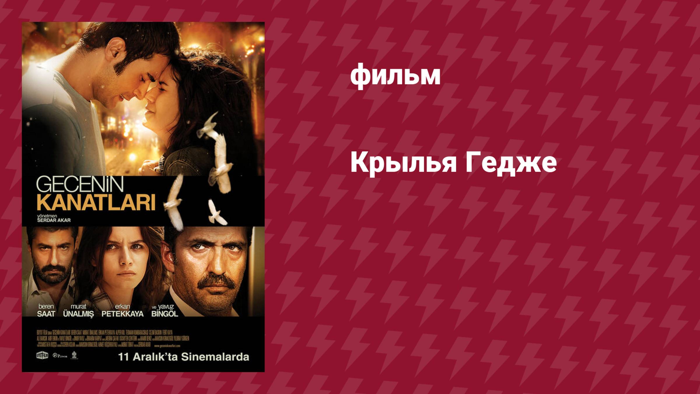 Крылья Гедже (фильм, 2009)