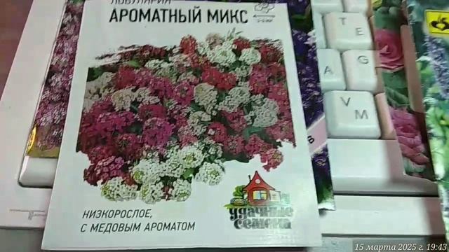 Краткий обзор рассады за 15.03.2025