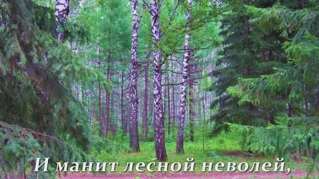 Гуляю под Москвой